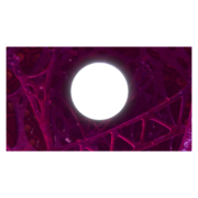 Void Soul - WiKirby: it's a wiki, about Kirby!
