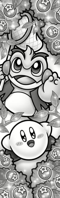 Stardust Fruit - WiKirby: it's a wiki, about Kirby!